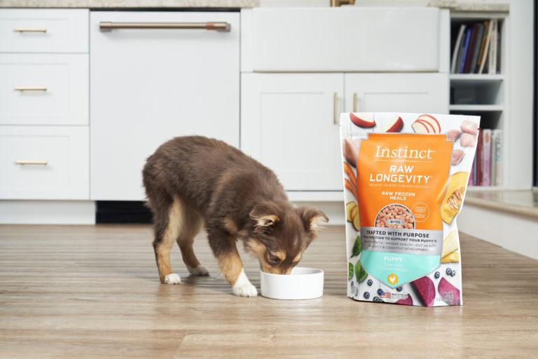 The Best Puppy Food for a Growing Dog - Instinct Pet Food