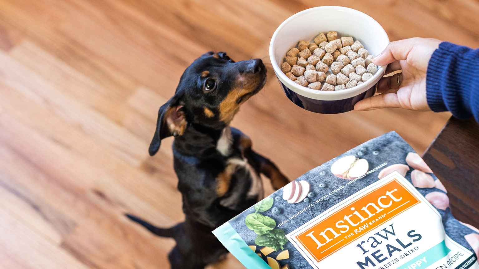 What to Feed a dog with digestive issues - Instinct Pet Food