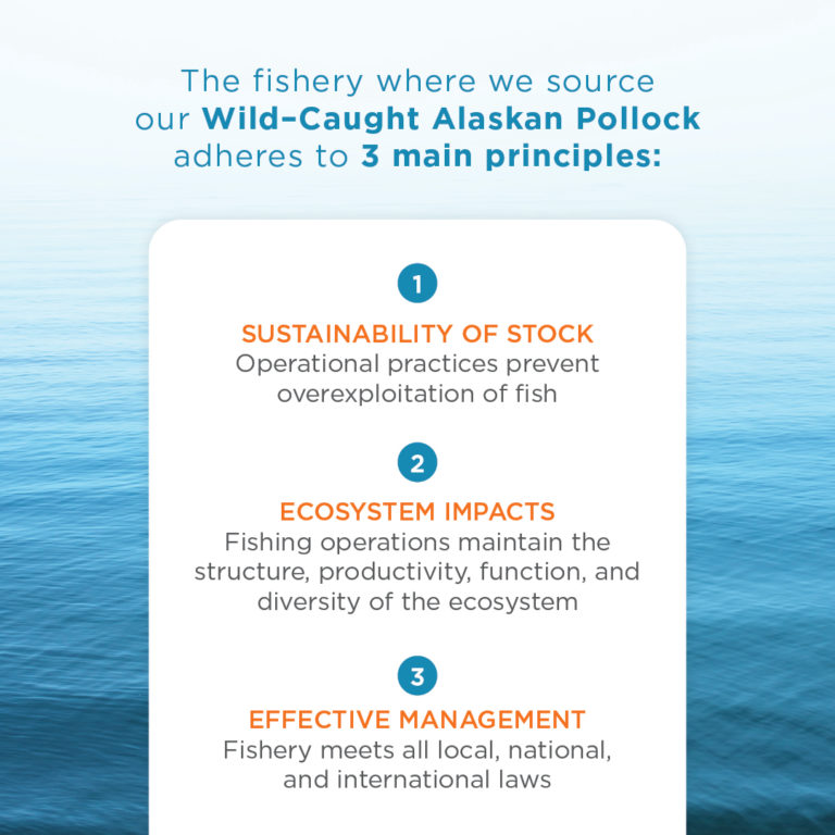 Introducing Sustainable Raw Fish Recipes - Instinct Pet Food