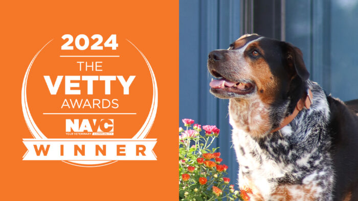 Blog - Instinct Pet Food