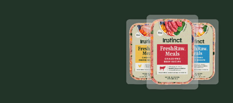 RawBoost Beef Dry Dog Food - Instinct
